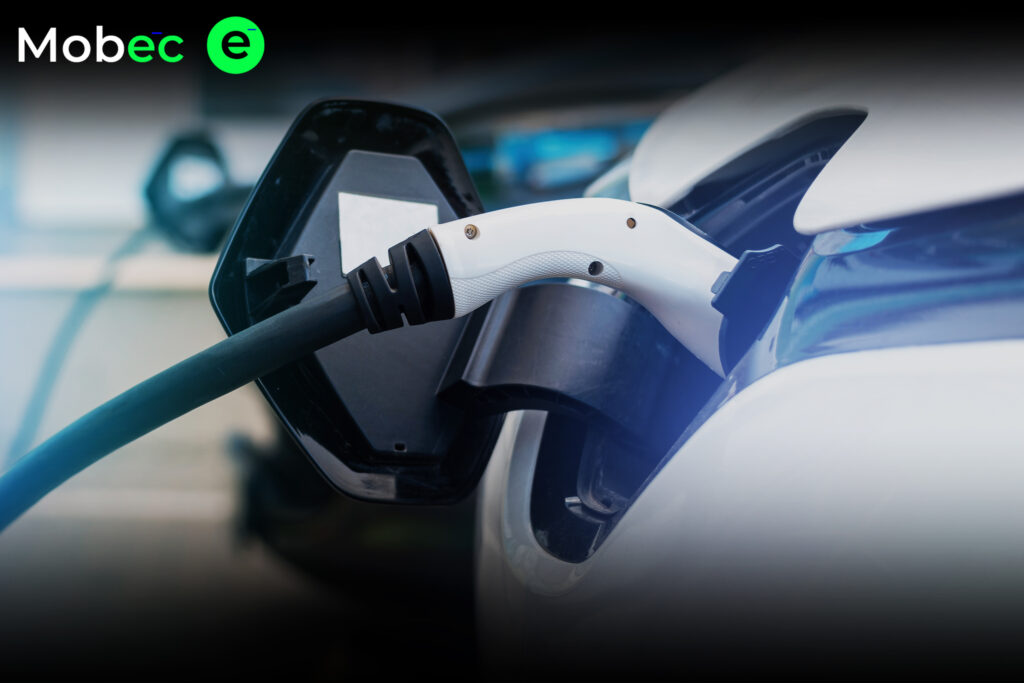 Electric Vehicles Empowerment : The Future of EVs