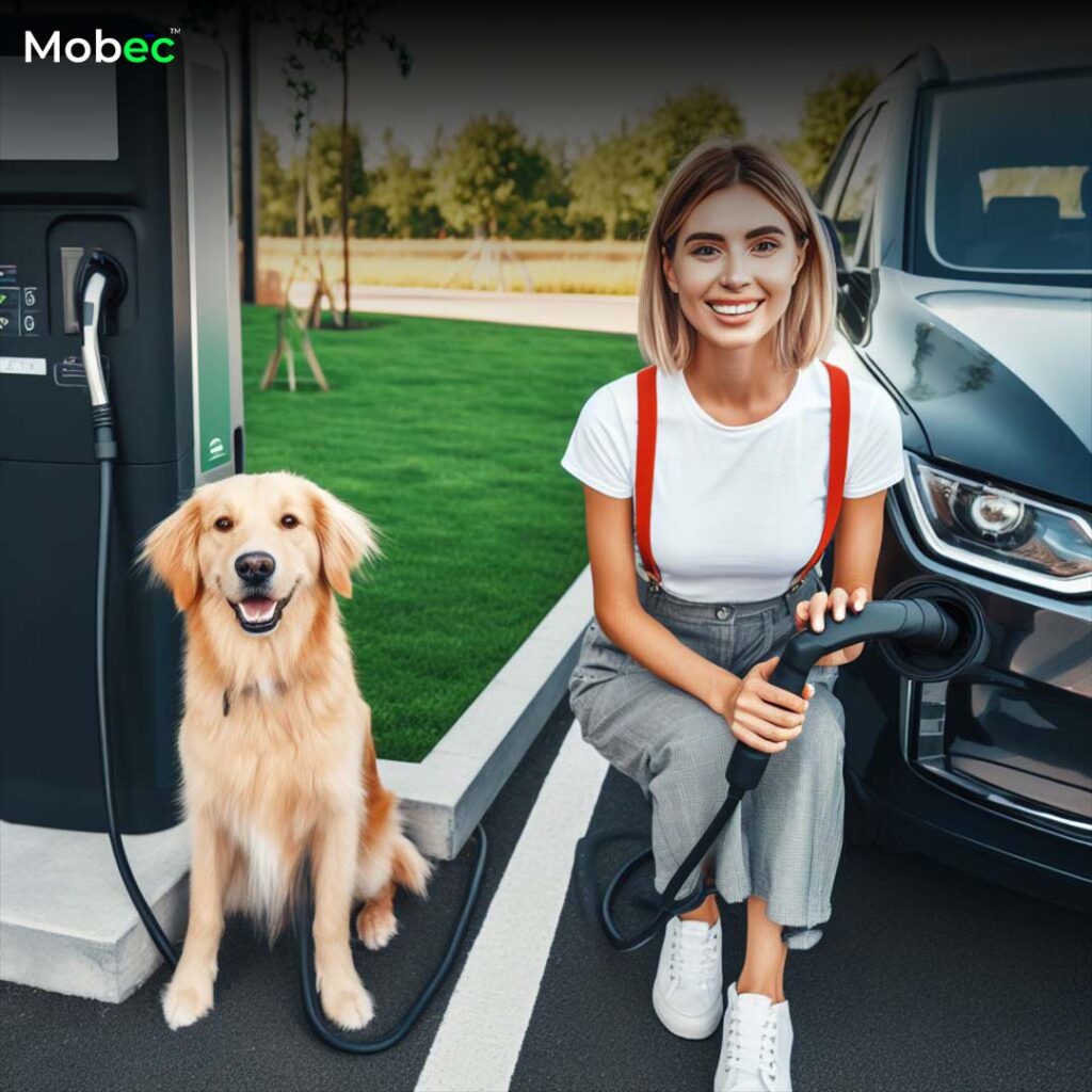 Types of vehicle chargers, along with their features